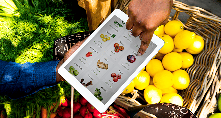 Food purchasing - single versus multi-supplier strategies